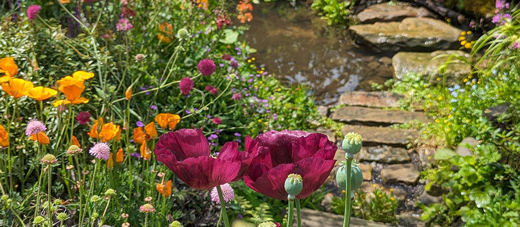 What we learned from RHS Chelsea's Flood Resilient Garden | Burgon ...