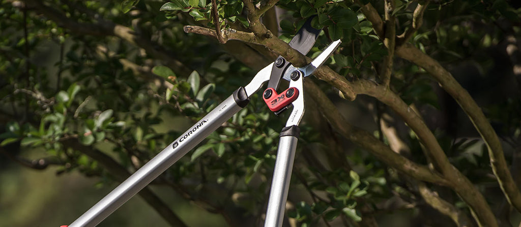 Corona Tools, America's leading name in garden tools, now in UK ...