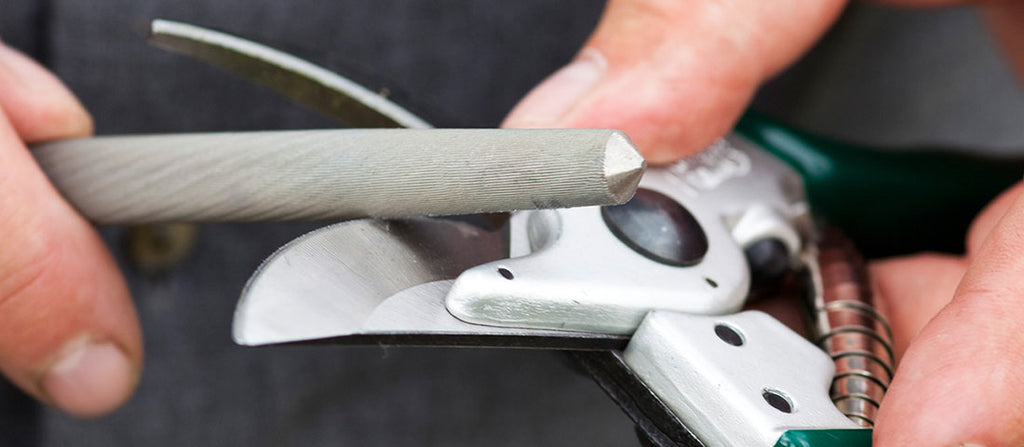 Tool maintenance to make your tools last longer | Burgon & Ball Blog ...