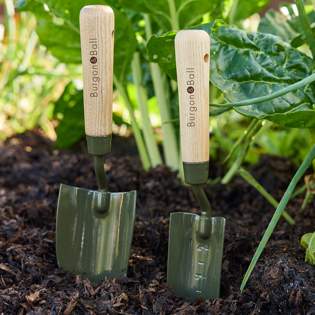 BoronGreen Transplanter | RHS Endorsed | Burgon & Ball – Burgon and Ball