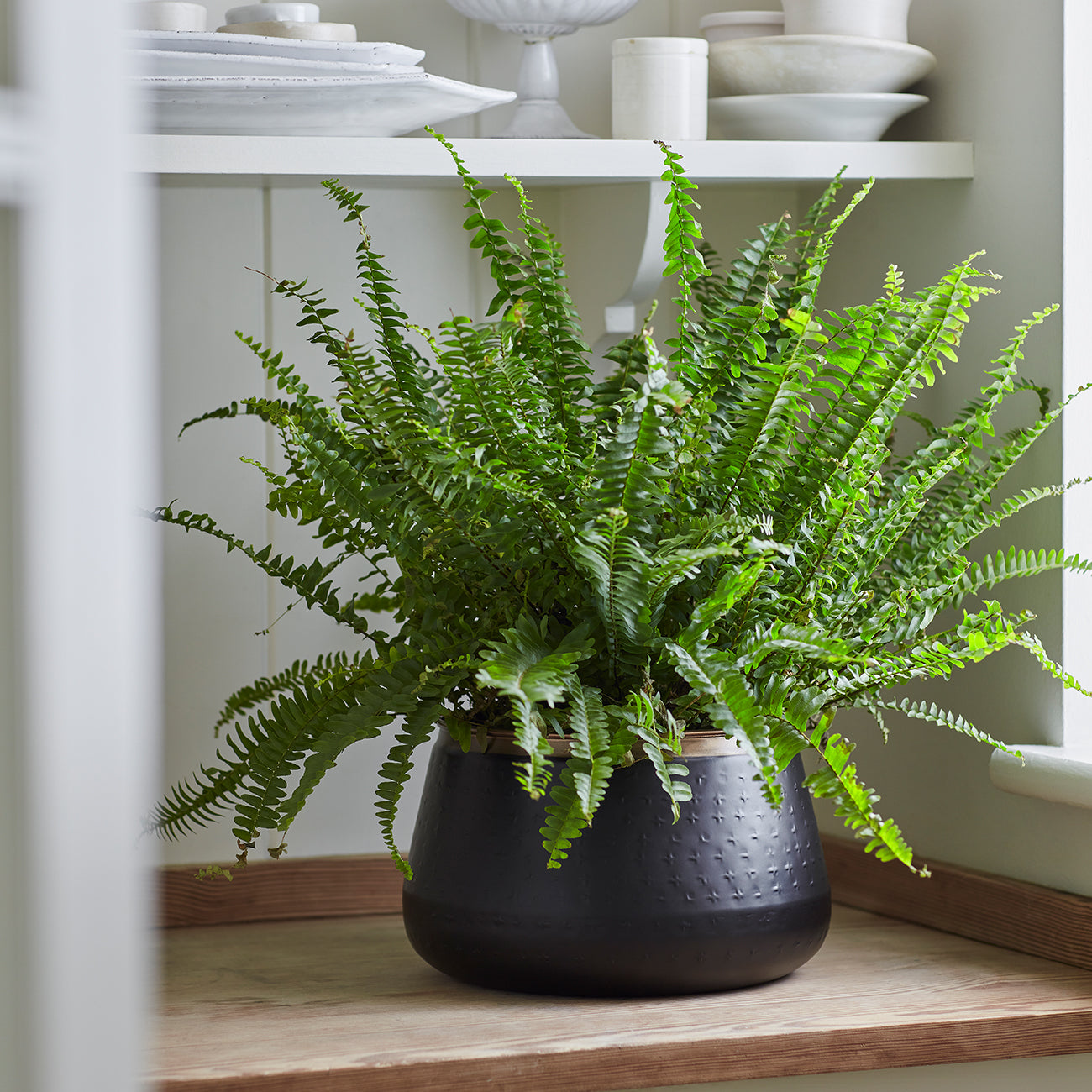 Sahara Sunset Metal Pot - Large| Burgon & Ball – Burgon and Ball