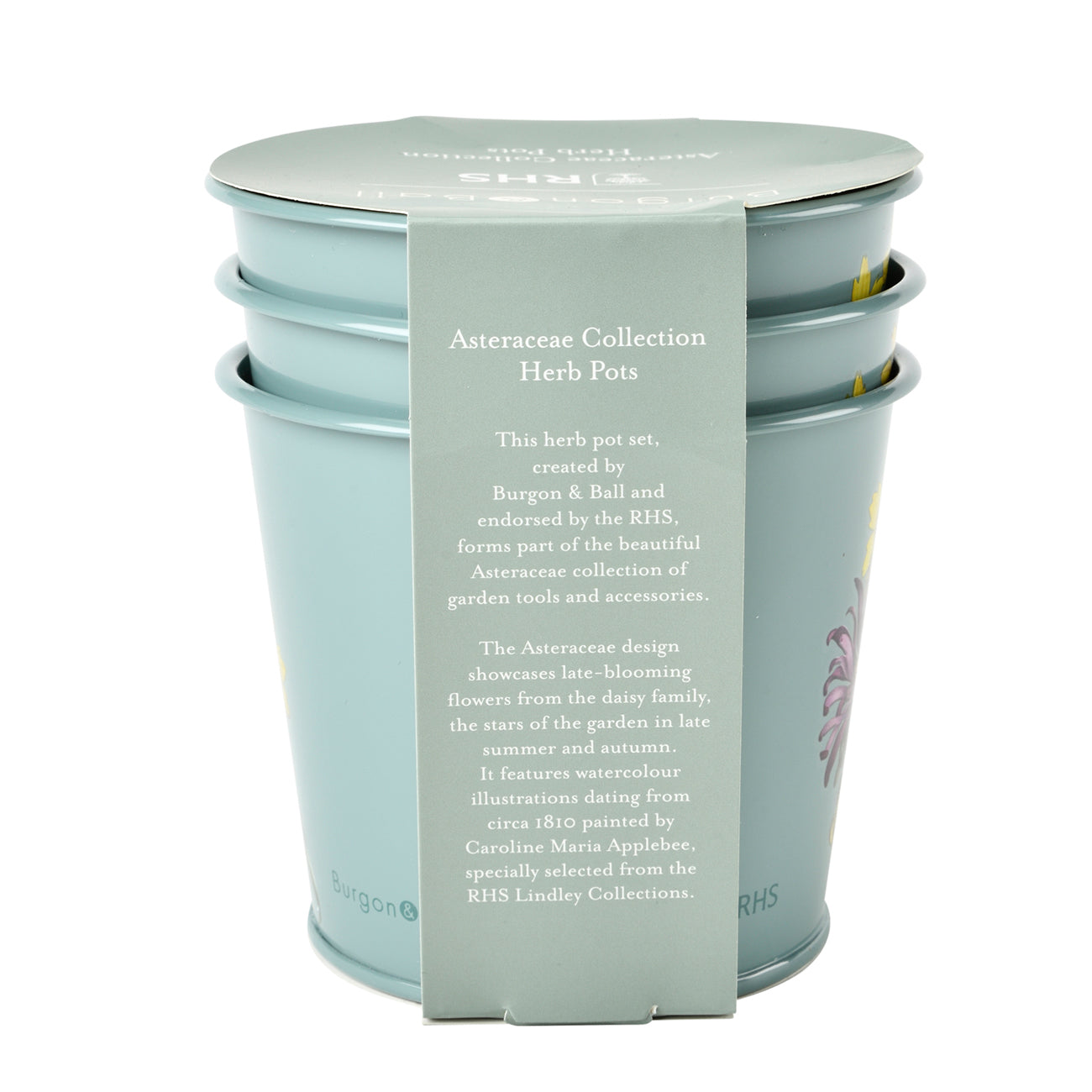 RHS Gifts for Gardeners Asteraceae Herb Pots | Burgon & Ball – Burgon ...