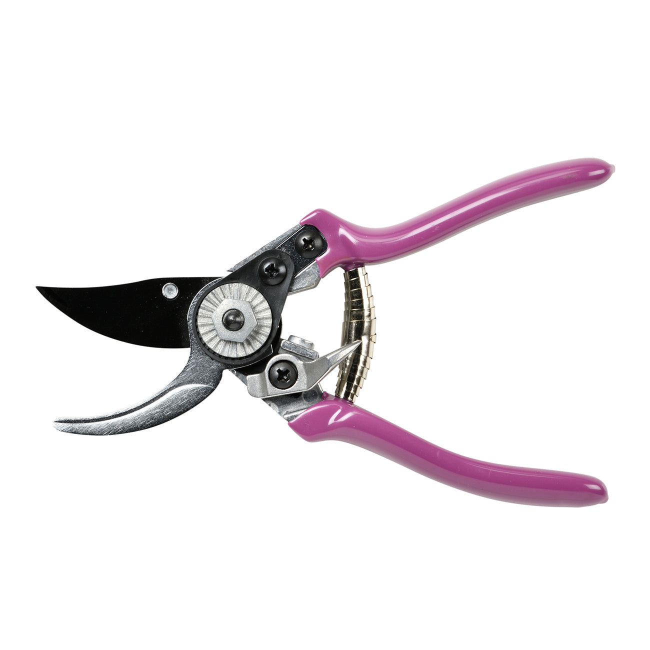 RHS Gifts for Gardeners Asteraceae Pruner & Holster, Burgon & Ball ...