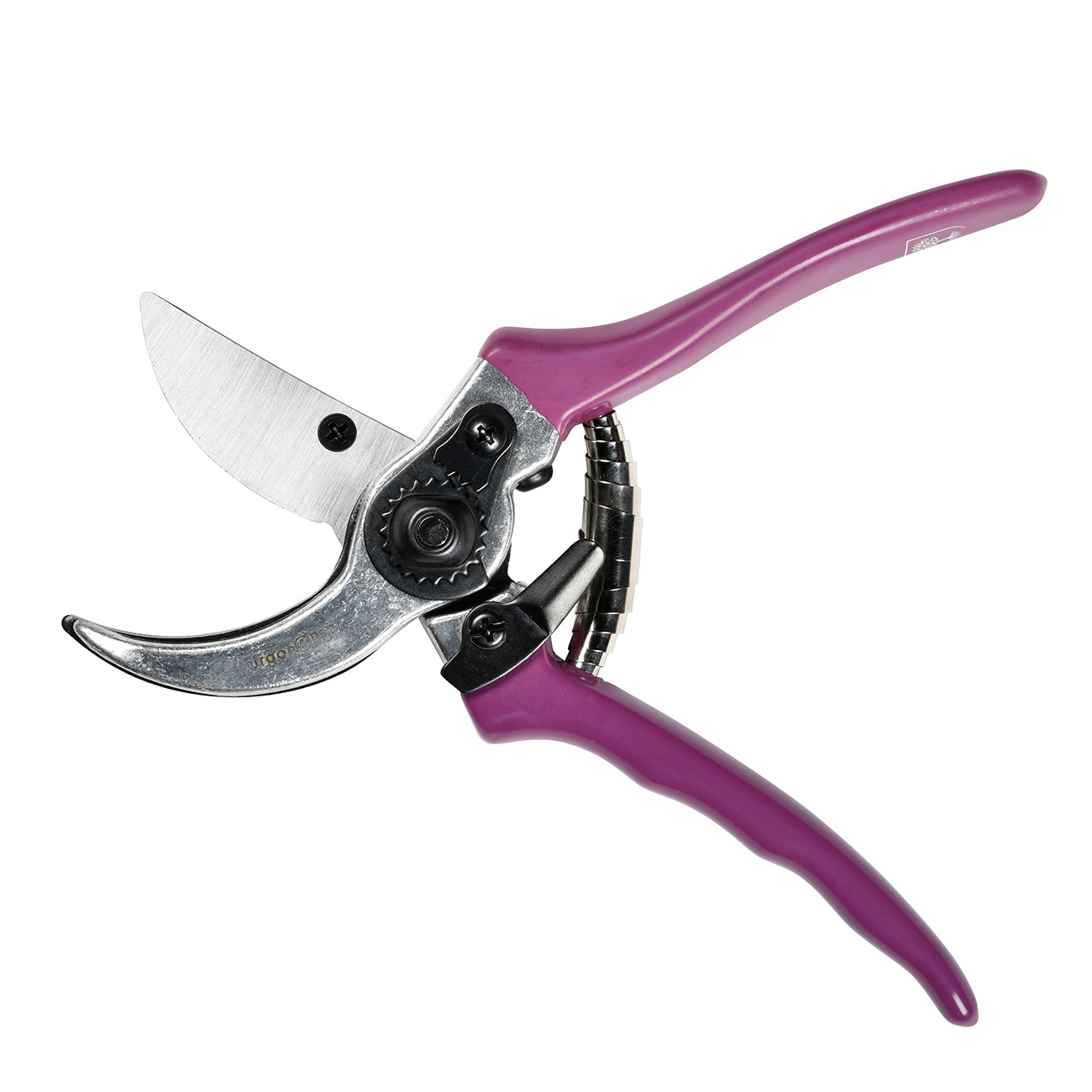 RHS Gifts for Gardeners Asteraceae Secateur | Burgon & Ball – Burgon ...