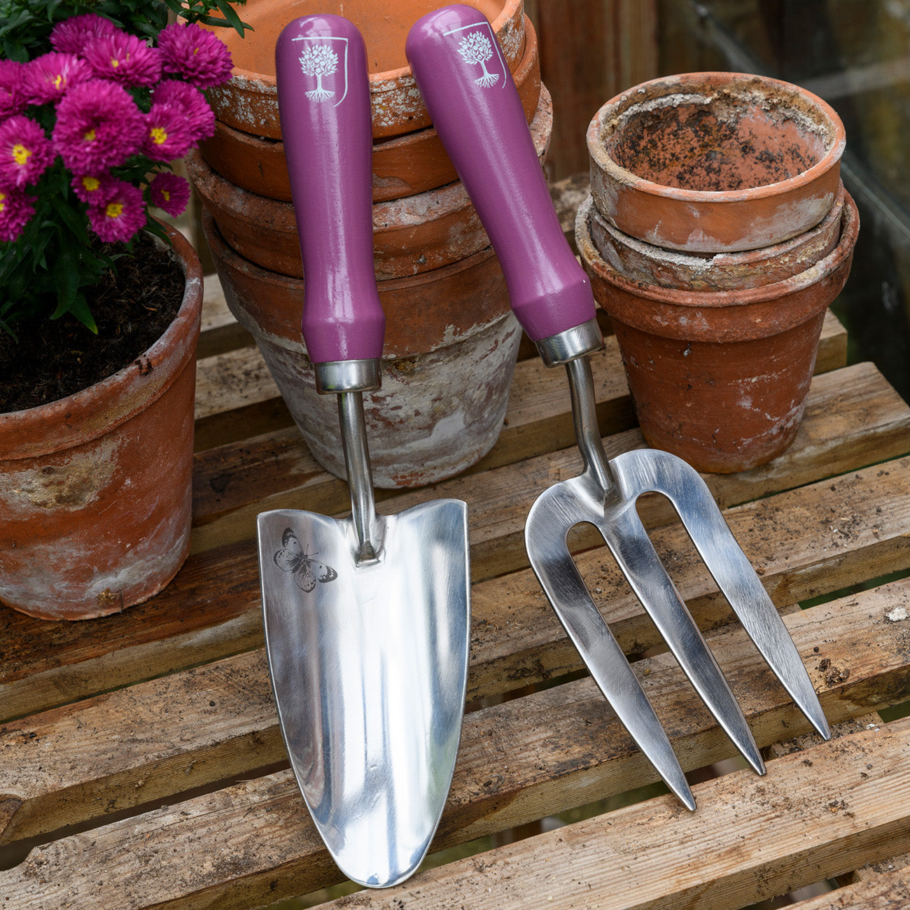 RHS Gifts for Gardeners Asteraceae Trowel/Fork Set | Burgon & Ball ...
