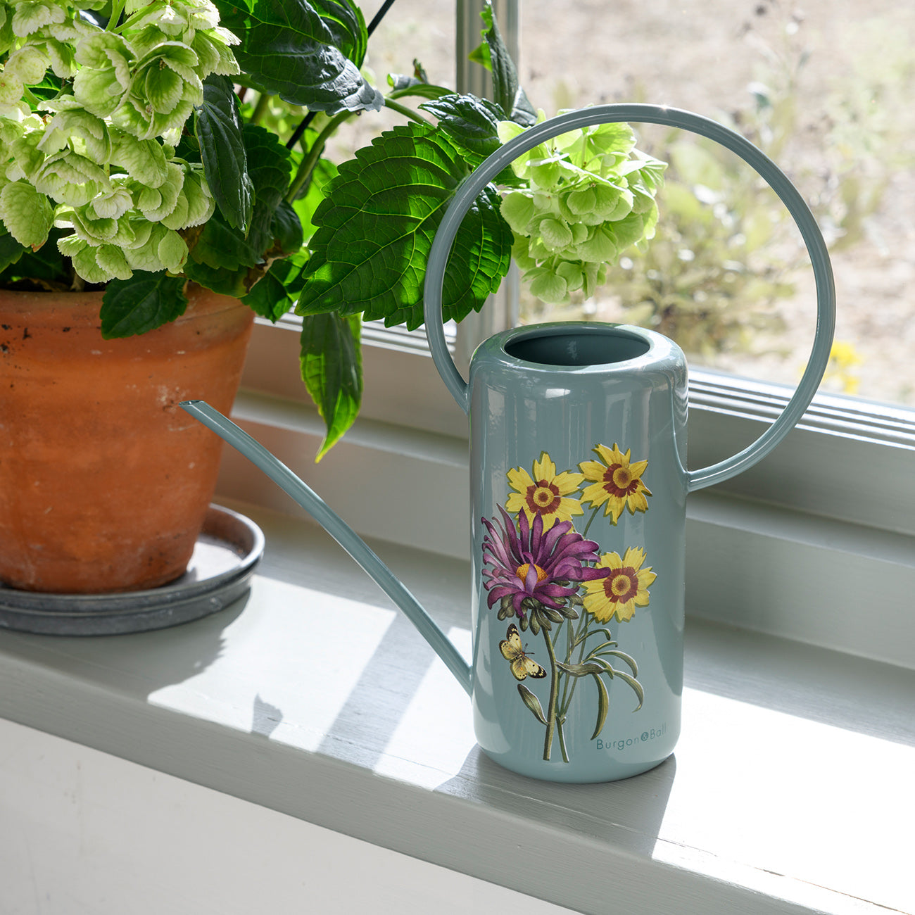 Asteraceae Watering Can | RHS Gifts for Gardeners | Burgon & Ball ...