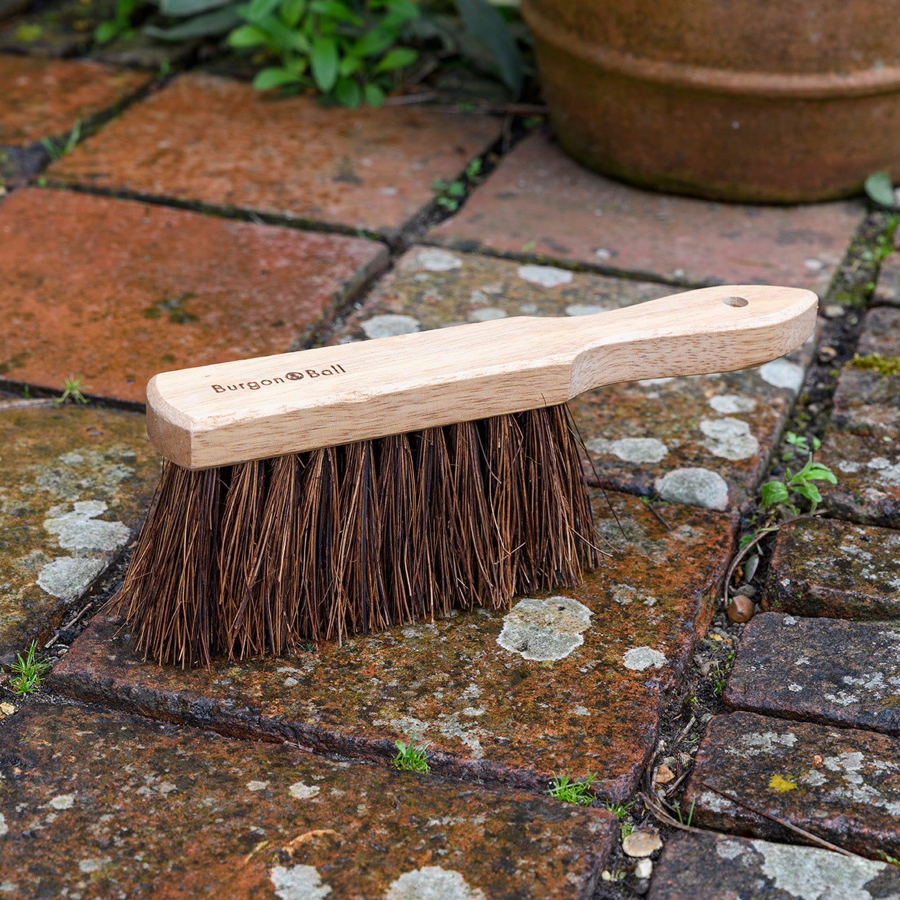 Hand Sweeping Brush - RHS Endorsed | Burgon & Ball – Burgon and Ball