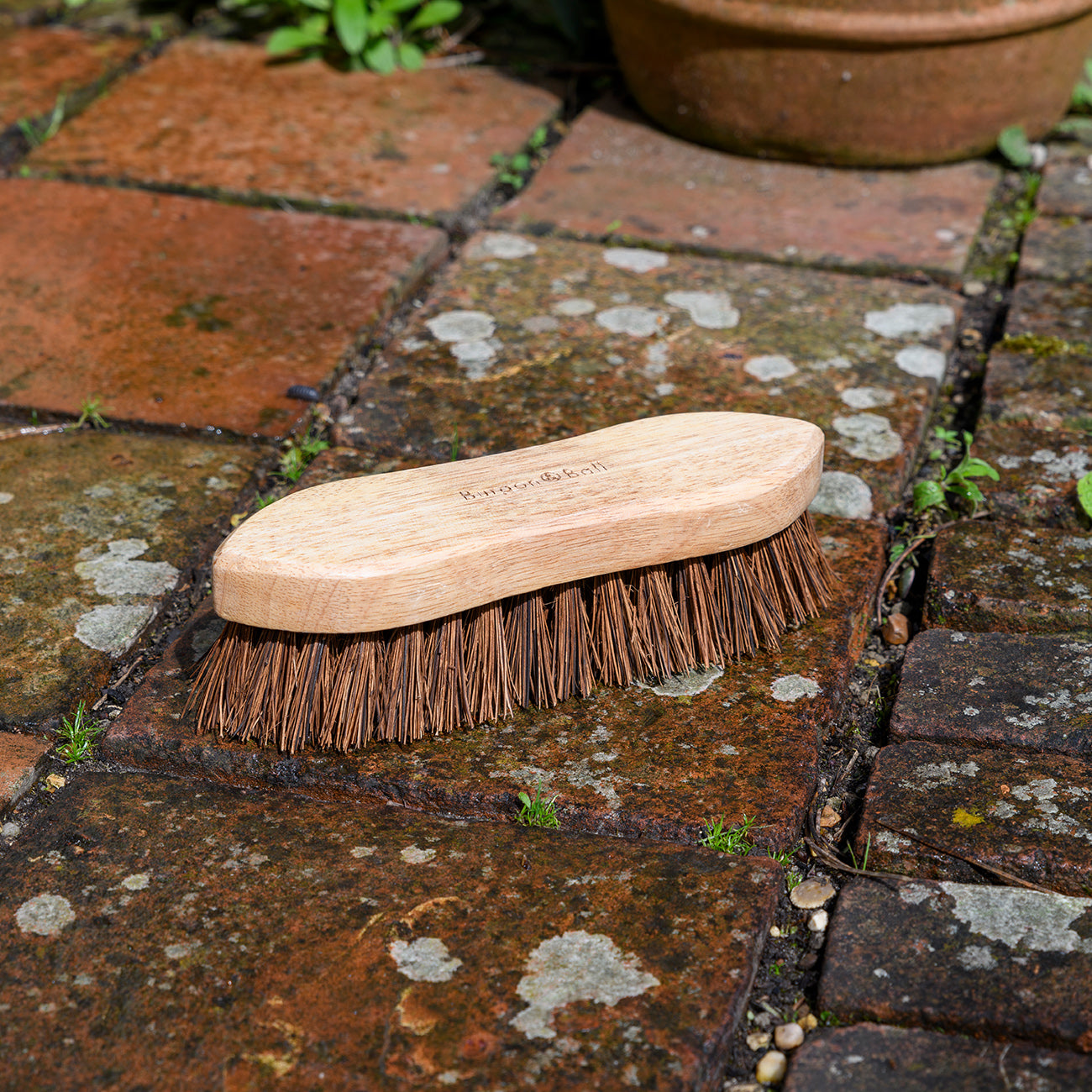 Hand Scrub Brush - RHS Endorsed | Burgon & Ball – Burgon and Ball