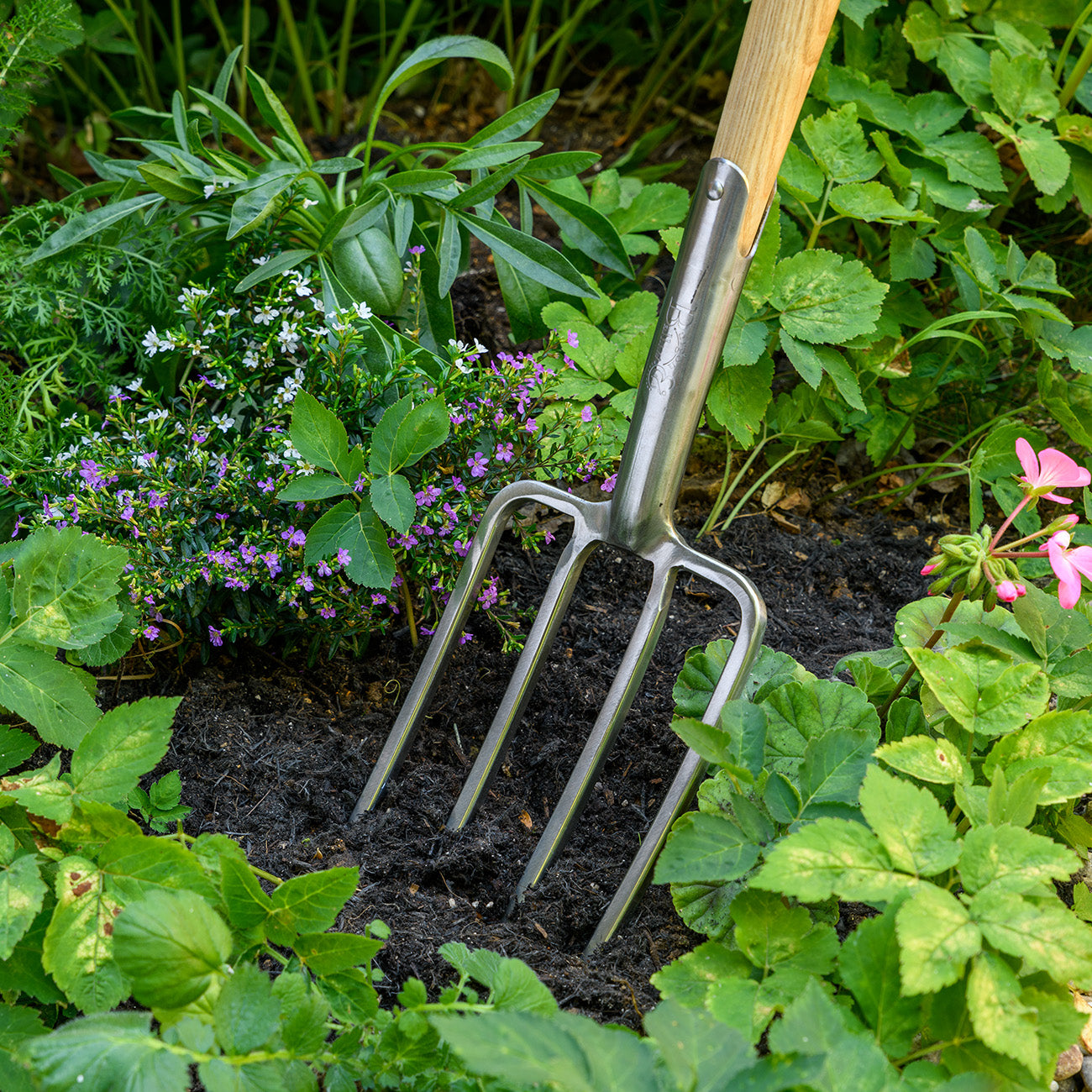 Small Digging Fork - RHS Endorsed | Burgon & Ball – Burgon and Ball