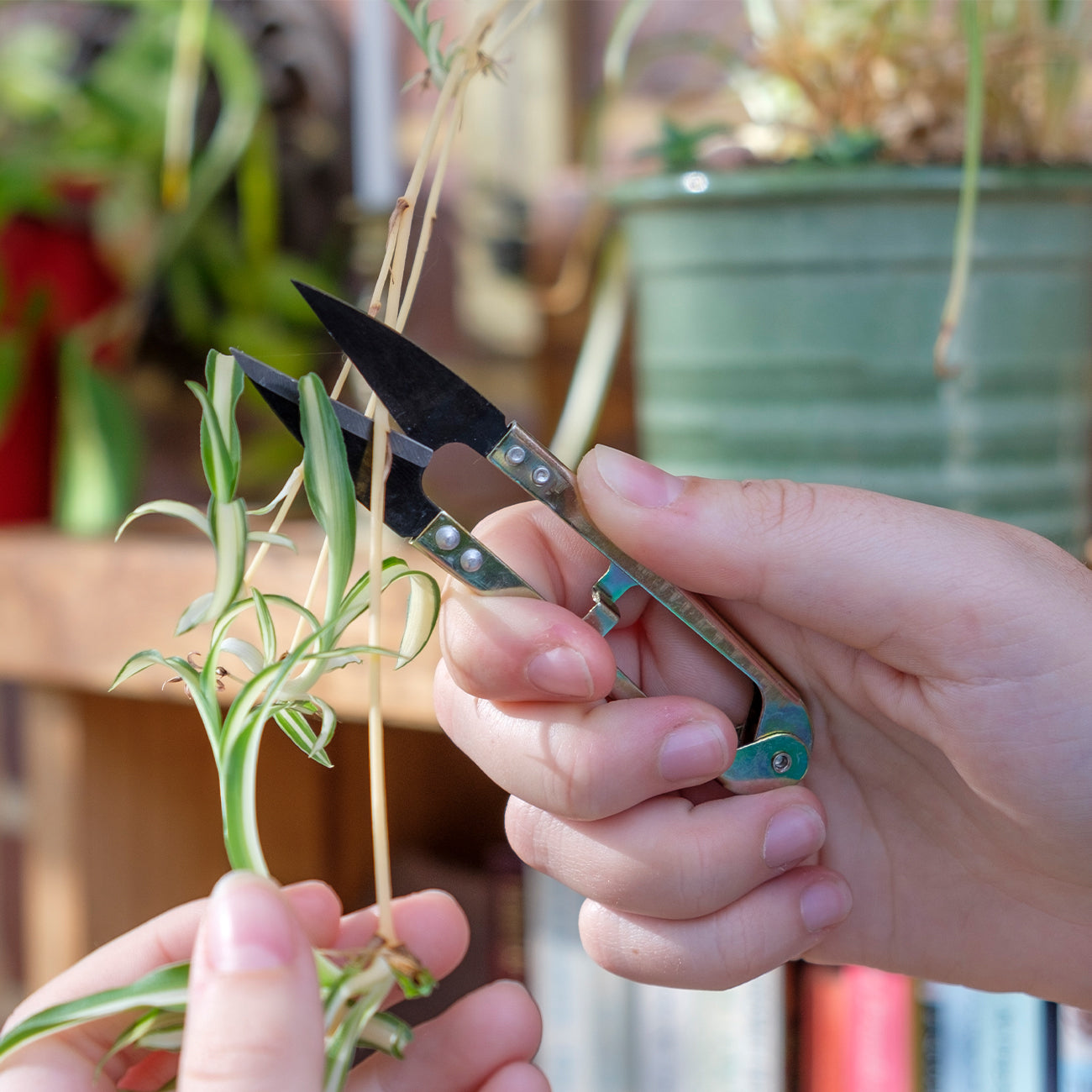 Mini Snips – Burgon and Ball