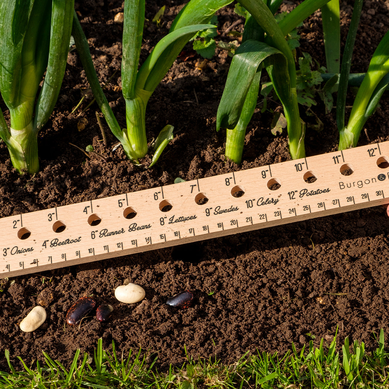 Planting Ruler – Burgon and Ball