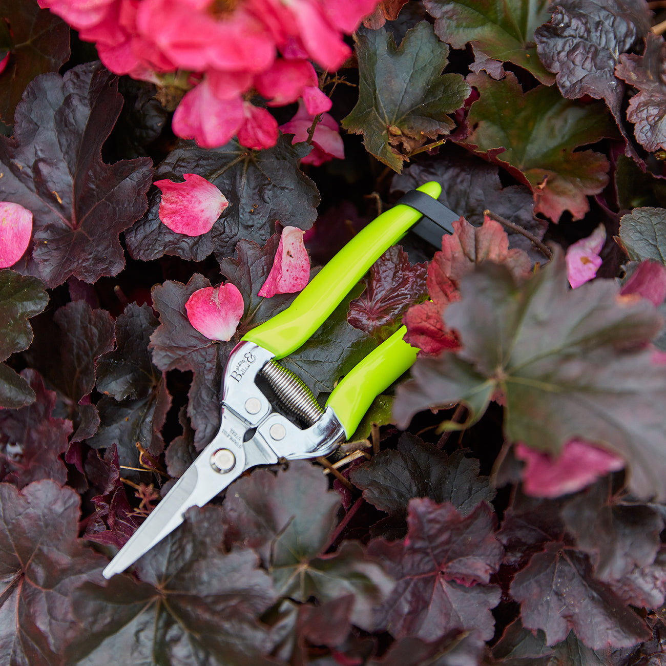 FloraBrite® Yellow Flower & Fruit Snip | Burgon & Ball – Burgon and Ball