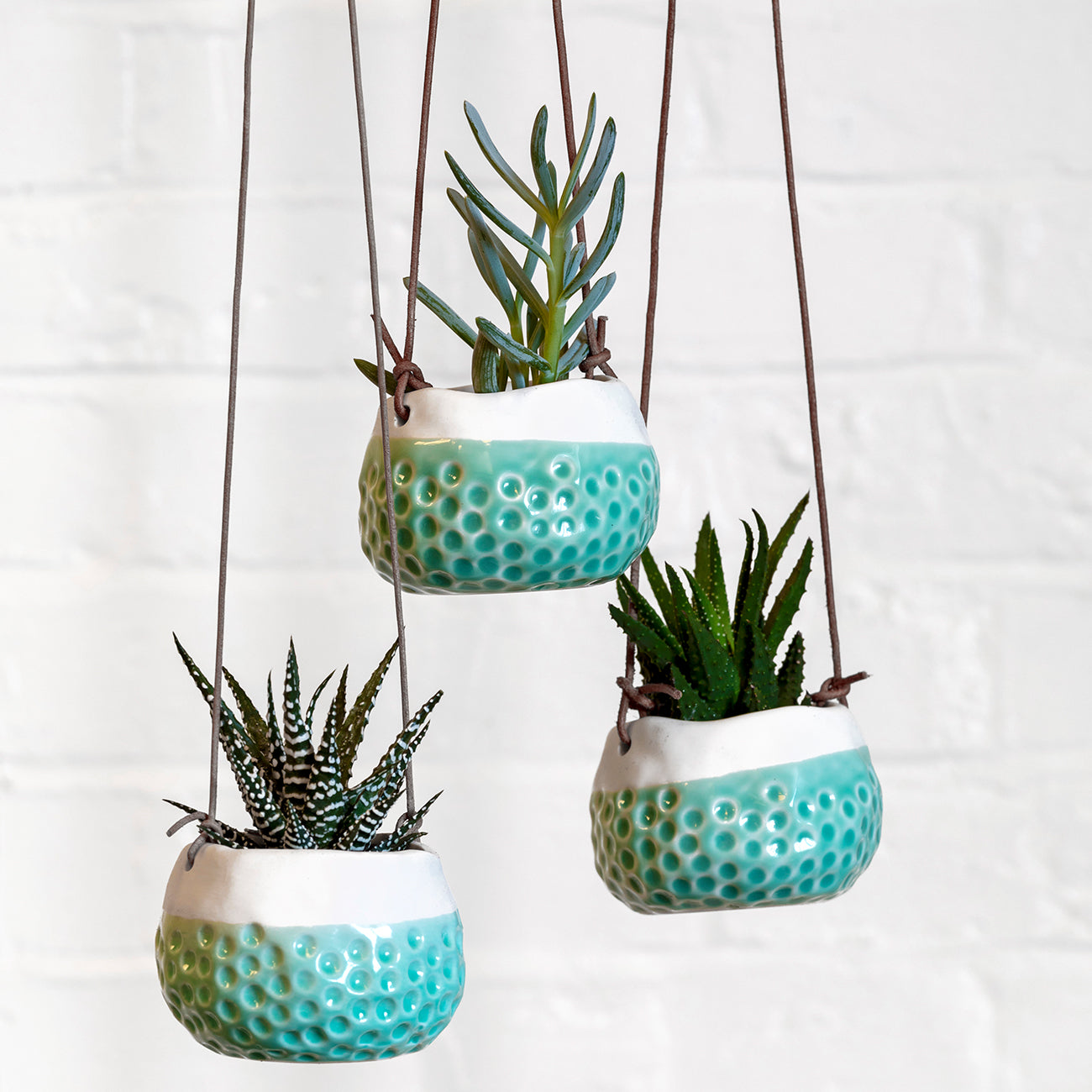 'Baby Dotty' Hanging Pot | Burgon & Ball – Burgon and Ball