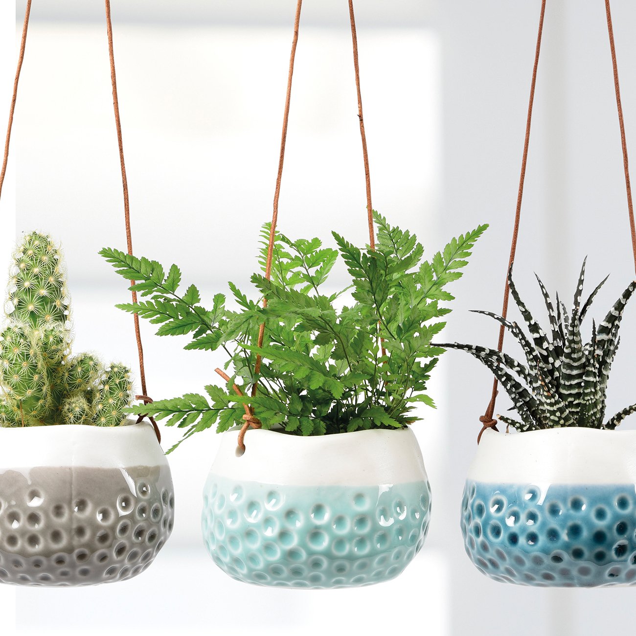 Trio of 'Baby Dotty' Hanging Pots | Burgon & Ball – Burgon and Ball