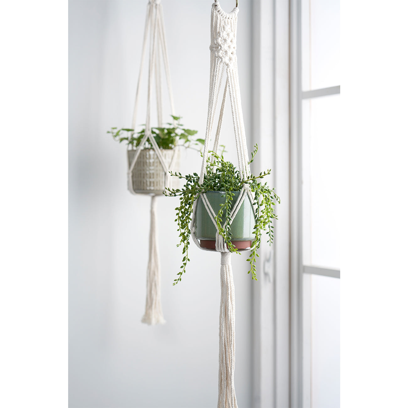 Macramé Plant Pot Hanger - Woodstock| Burgon & Ball – Burgon and Ball