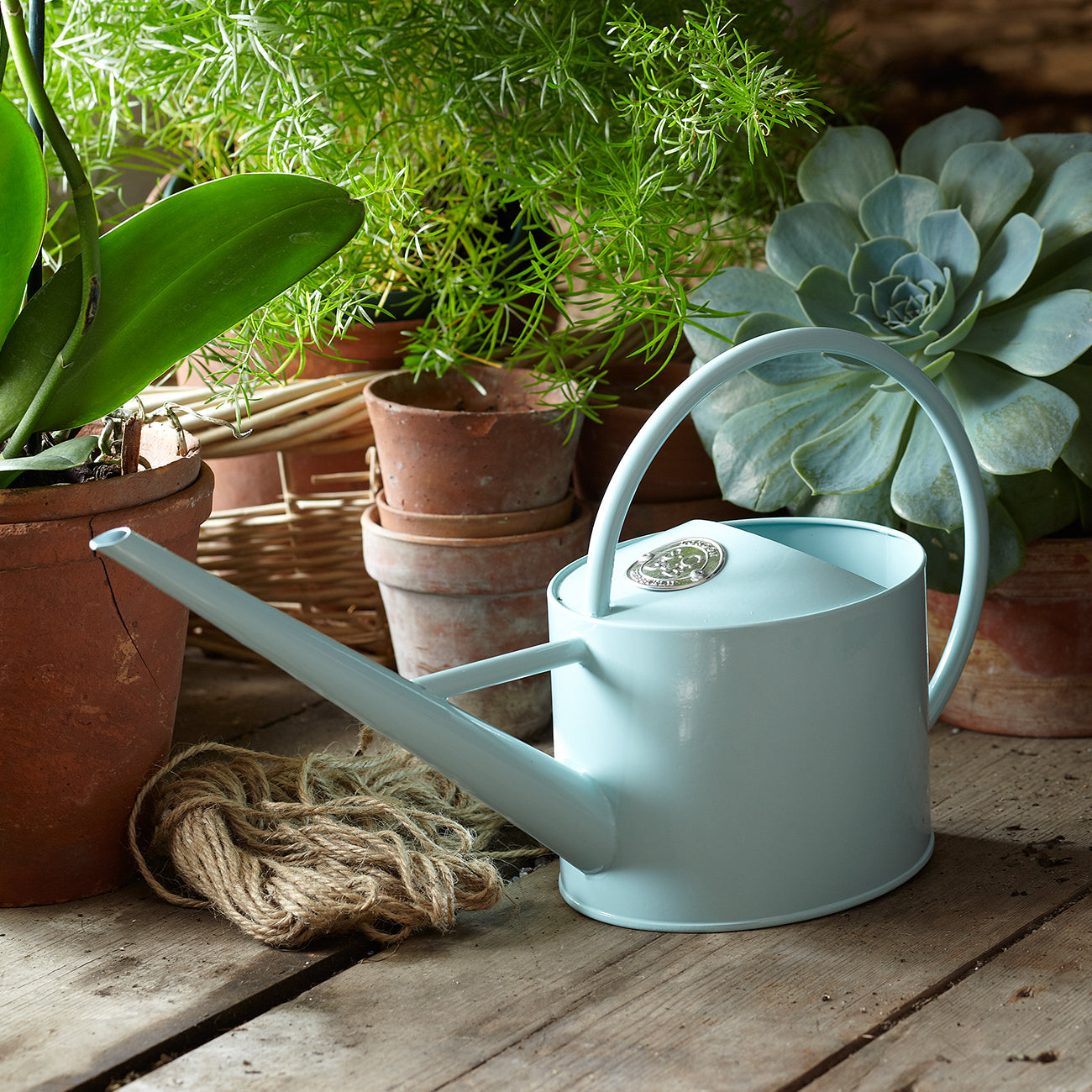 Sophie Conran Greenhouse & Indoor Watering Can - Blue | Burgon & Ball ...