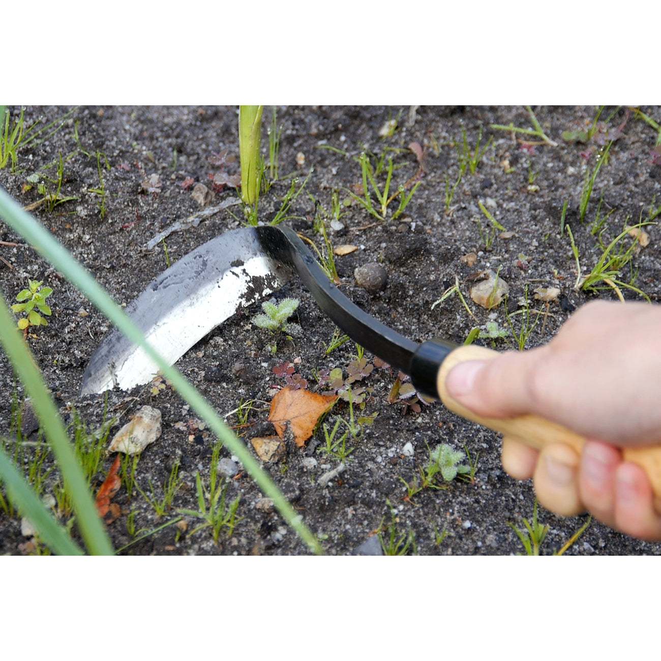 Razor Hoe - Right Handed | Burgon & Ball – Burgon and Ball