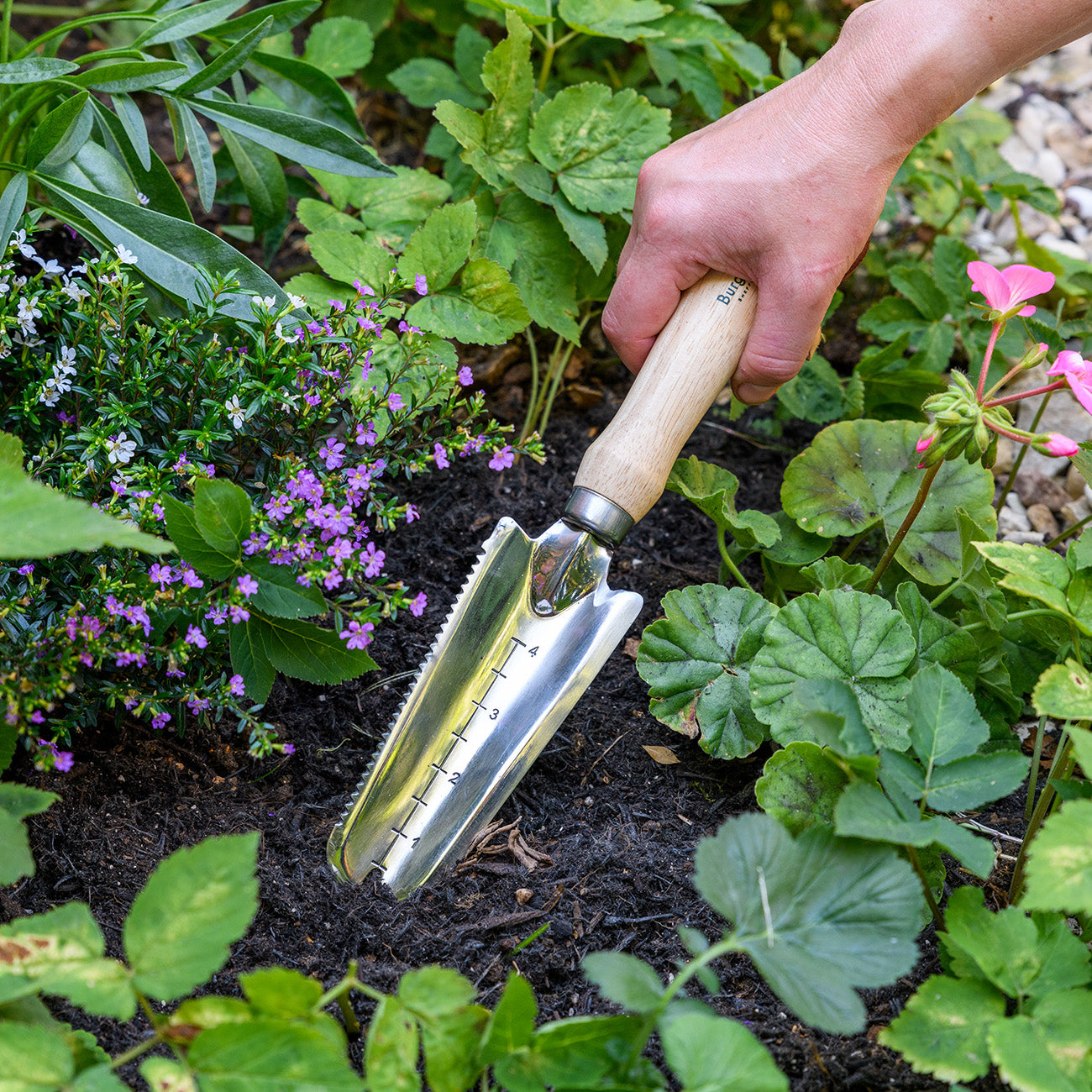 Weeding Trowel - RHS-Endorsed | Burgon & Ball – Burgon and Ball
