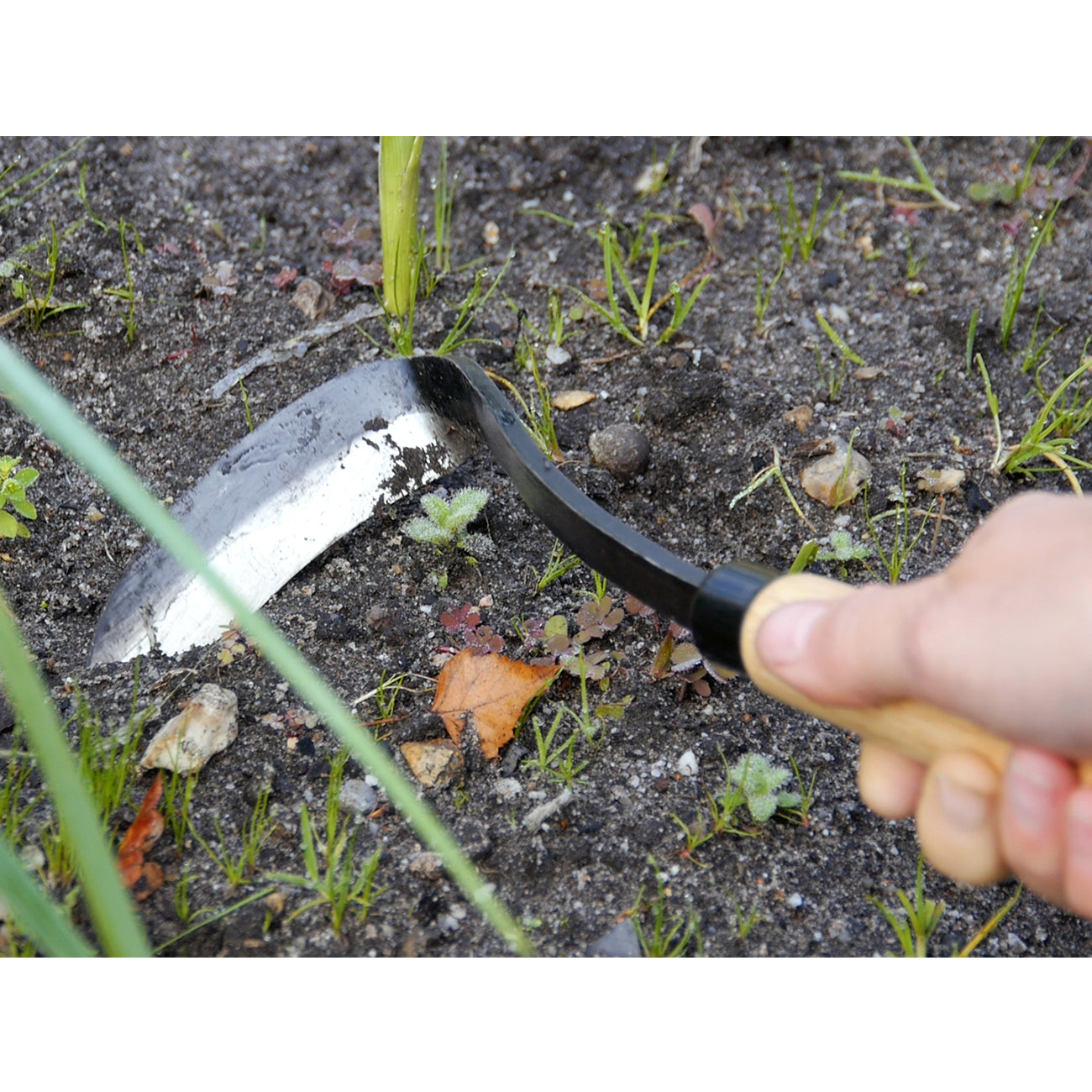 Razor Hoe - Right Handed – Burgon and Ball