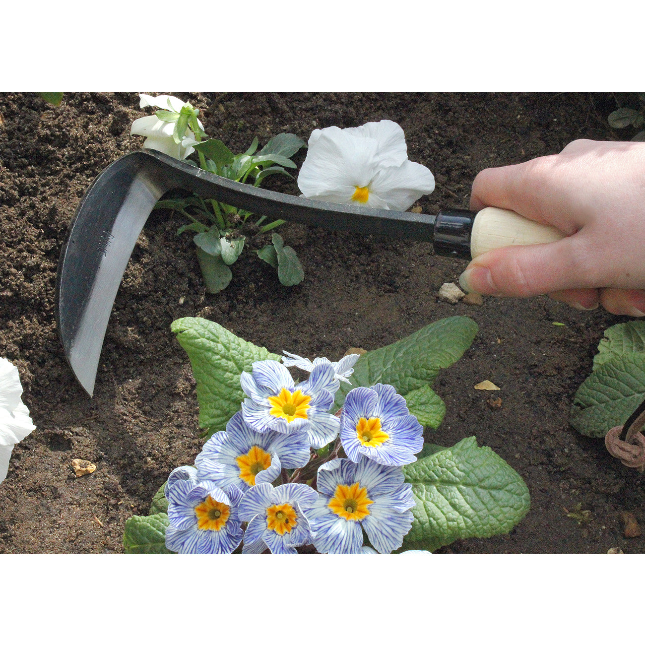 Razor Hoe - Right Handed – Burgon and Ball