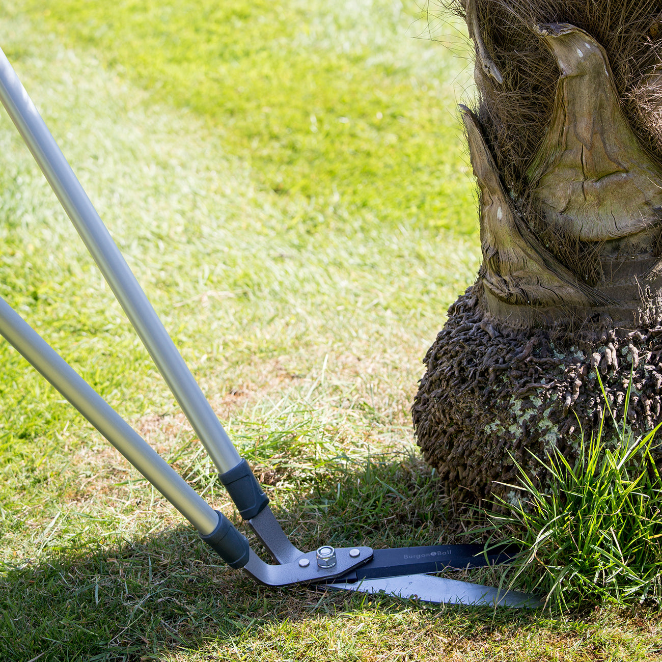 Lawn Shear - RHS Endorsed | Burgon & Ball – Burgon and Ball