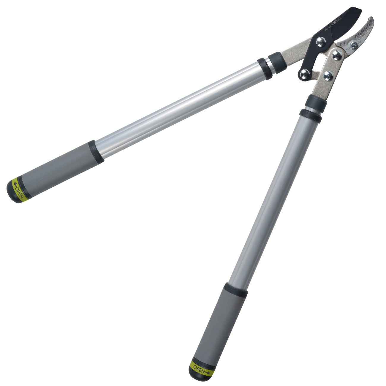 Telescopic Anvil Lopper - RHS Endorsed | Burgon & Ball – Burgon and Ball