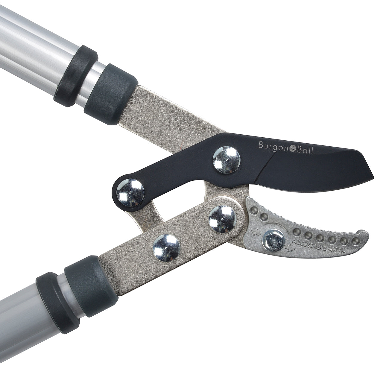 Telescopic Anvil Lopper - RHS Endorsed | Burgon & Ball – Burgon and Ball