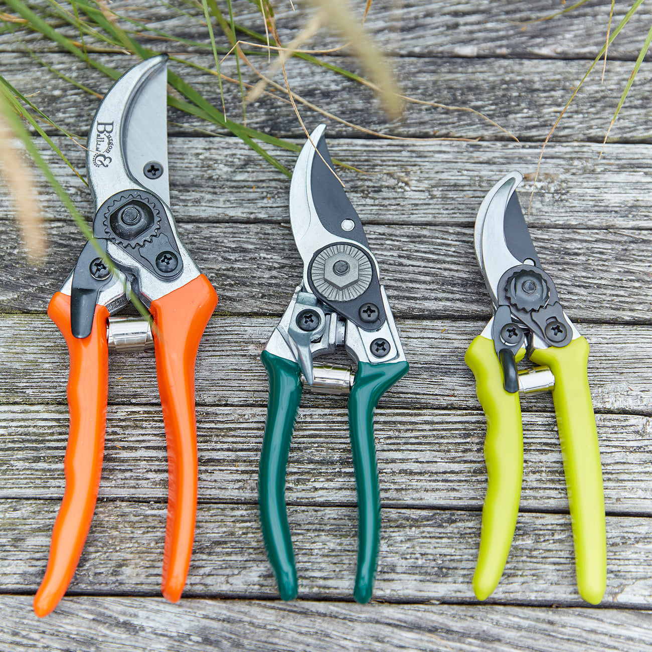 Bypass Secateurs - RHS Endorsed – Burgon and Ball