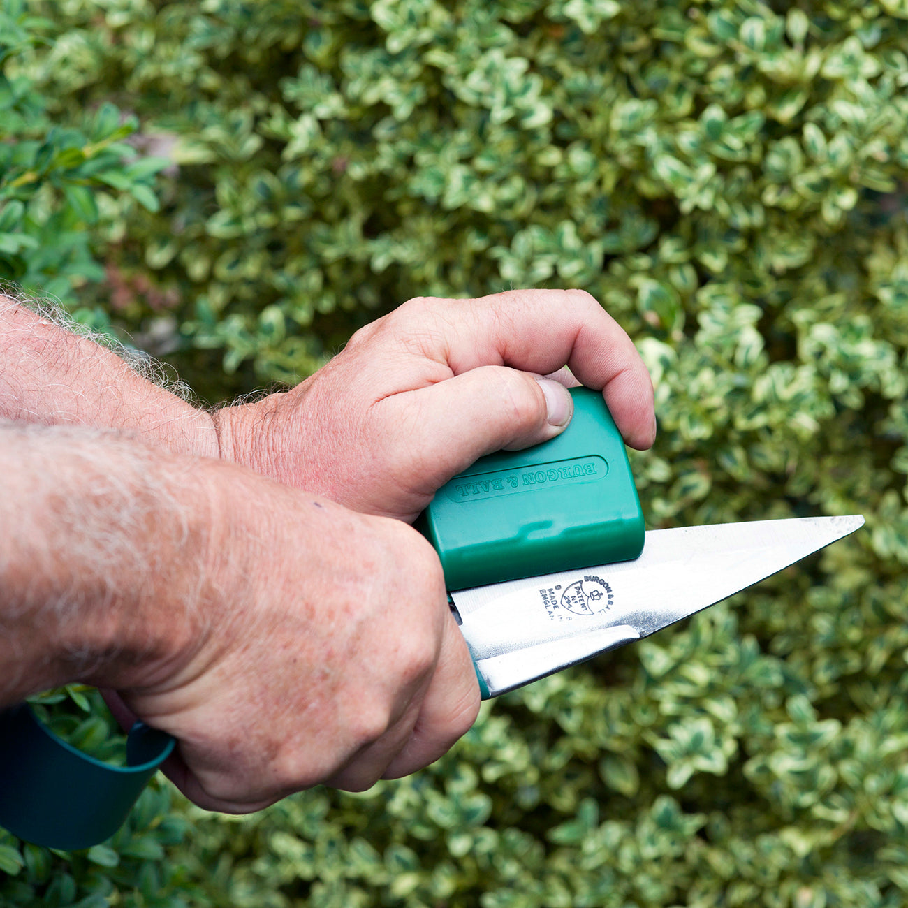 Topiary Trimming Shear Sharpener – Burgon and Ball