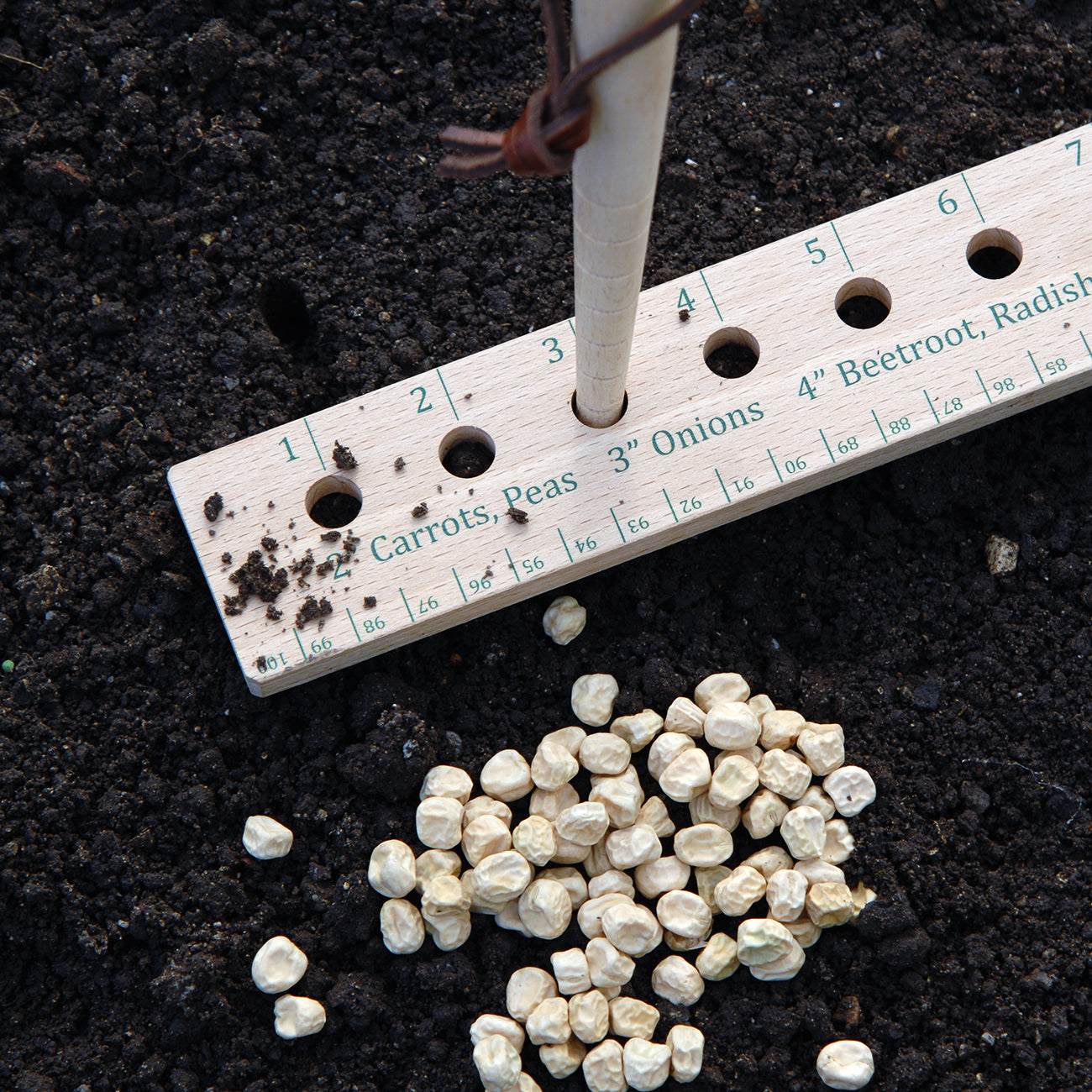 1 Meter Planting Ruler | Burgon & Ball – Burgon and Ball