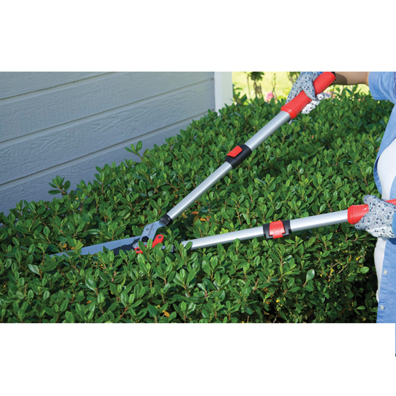 Corona ComfortGEL DualLINK Extendable Hedge Shear | Burgon & Ball ...