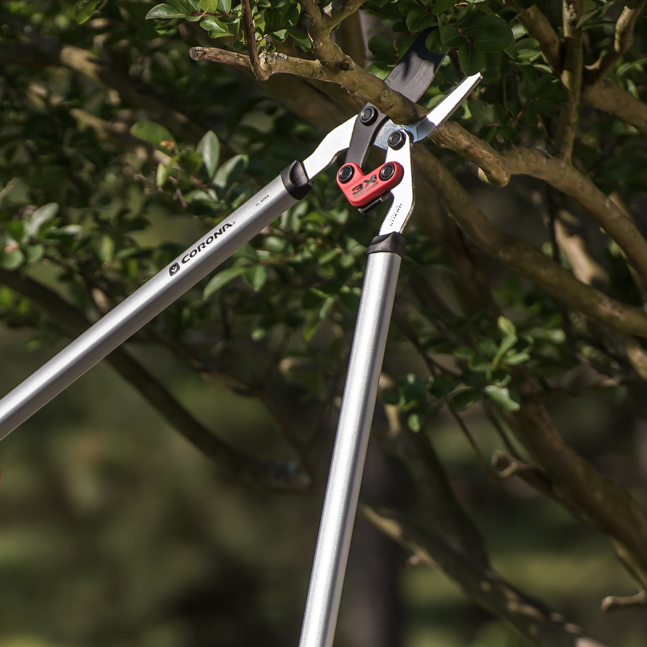 Corona ComfortGEL DualLINK Garden Lopper | Burgon & Ball – Burgon and Ball