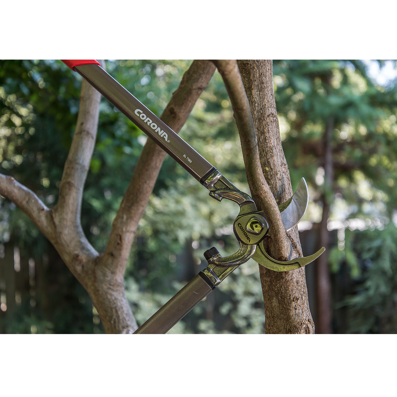 Corona Max Forged DualCUT Lopper | Burgon & Ball – Burgon and Ball